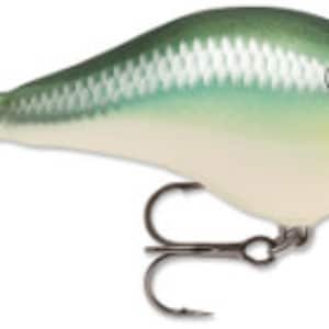 Rapala Dt Fat-Dives To
