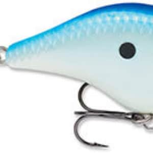 Rapala Dt Fat-Dives To