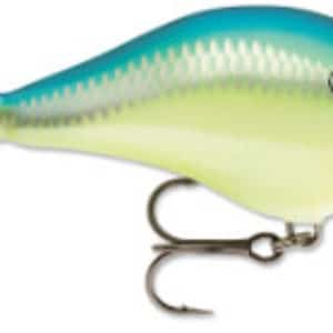 Rapala Dt Fat-Dives To