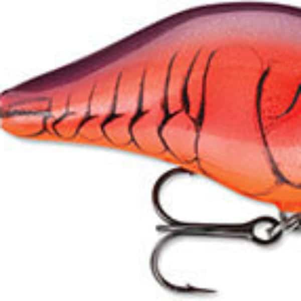 Rapala Dt Fat-Dives To