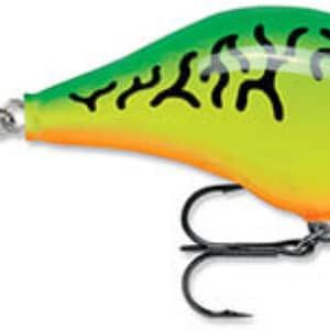 Rapala Dt Fat-Dives To