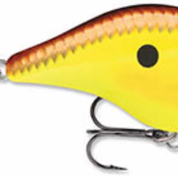 Rapala Dt Fat-Dives To