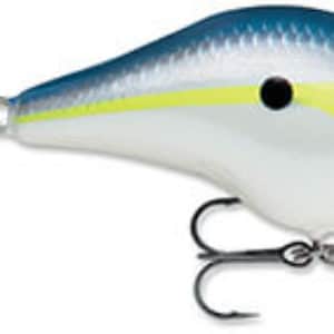 Rapala Dt Fat-Dives To