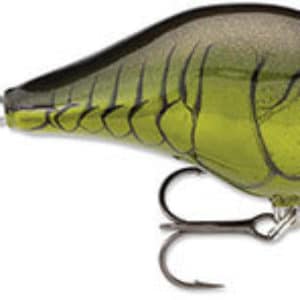 Rapala Dt Fat-Dives To