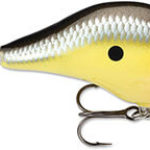 Rapala Dt Fat-Dives To