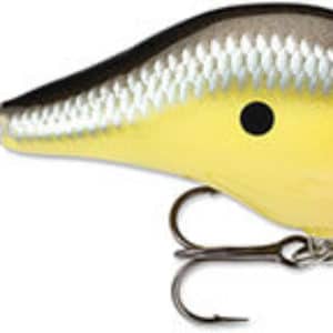 Rapala Dt Fat-Dives To