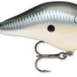 Rapala Dt Fat-Dives To