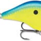 Rapala Dt Fat-Dives To