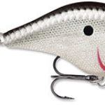 Rapala Dt Fat-Dives To
