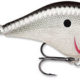 Rapala Dt Fat-Dives To