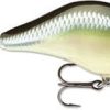 Rapala Dt Fat-Dives To