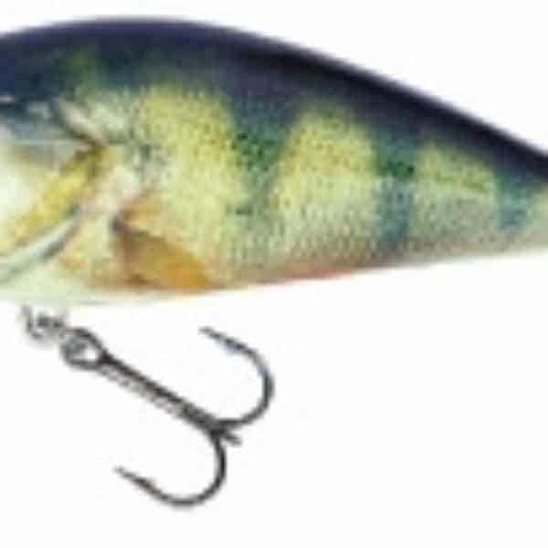 Salmo Fatso Crank