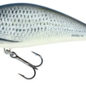 Salmo Fatso